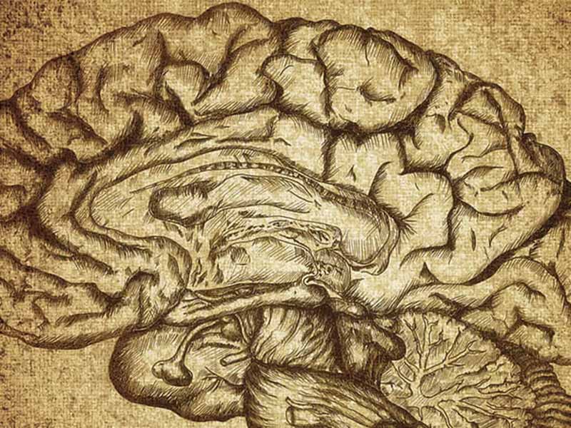 Functional Medicine Insights On Mental Health
